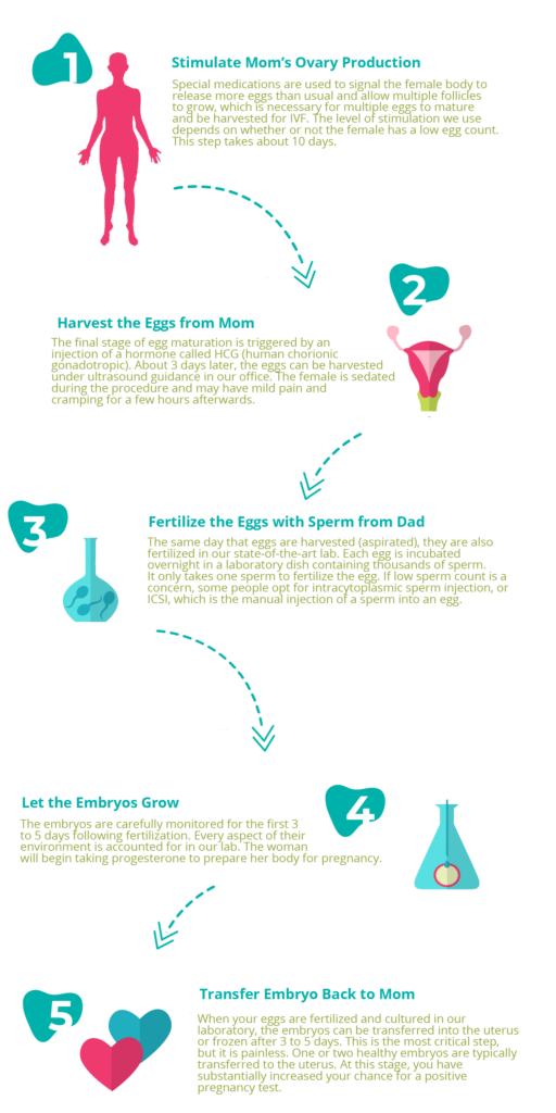 In Vitro Fertilization (IVF MIAMI) - CONCEPTIONS FLORIDA